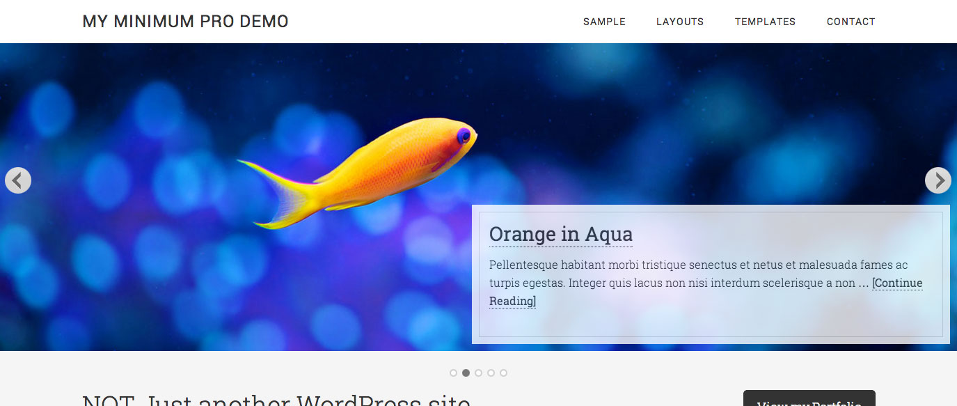 How To Replace Background Image In Minimum Pro With Responsive Slider