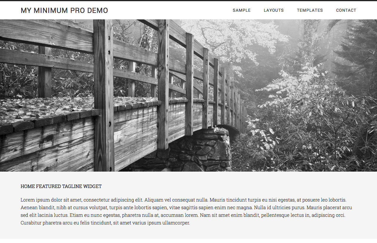 How To Replace Tagline Section With A Widget Area Only On Homepage In